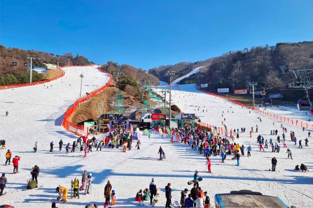 Vivaldi Park Ski World Day Tour dari Seoul - Klook Indonesia